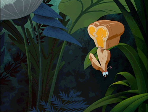 Insects Through the Looking-Glass: Exhibition at Story Museum Oxford ...